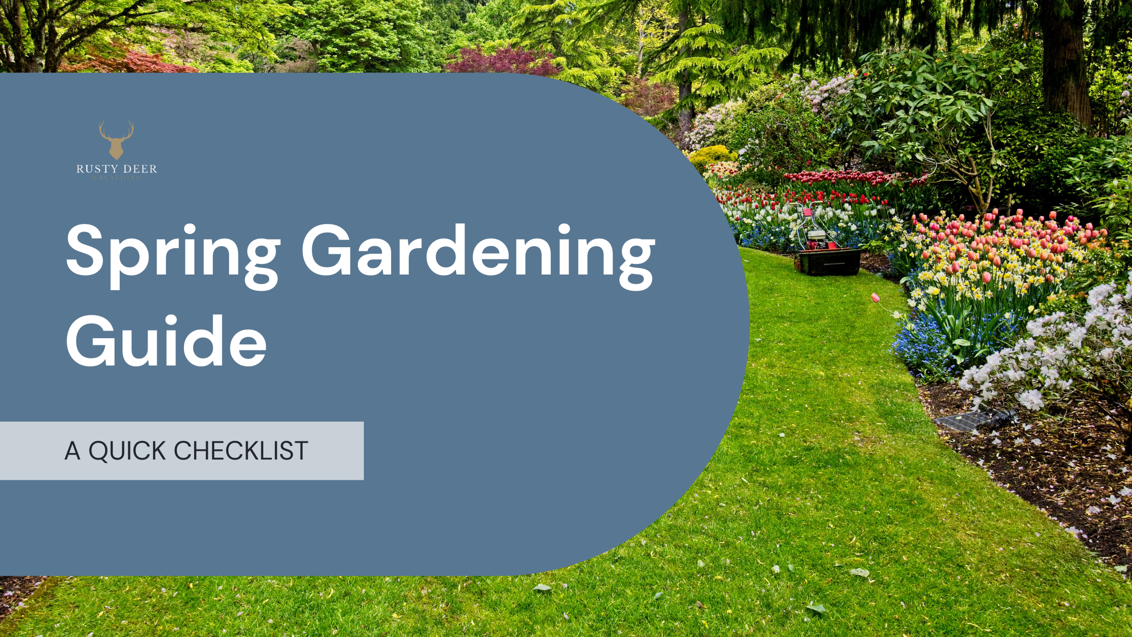 Spring Garden Guide for New Zealand: Up Your Garden Game This Season ...